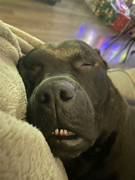 Partied Out Until The New Year R Toofers
