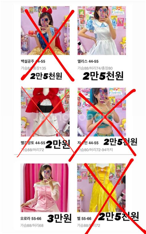 성인 디즈니 공주 드레스 의상 코스튬 할로윈 여성의류 중고나라