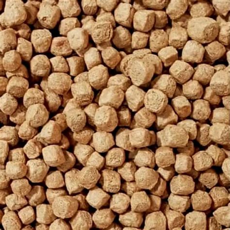 Buy Meal Maker Big Size High Protein Soya Chunks Tusker Berry Tusker Berry