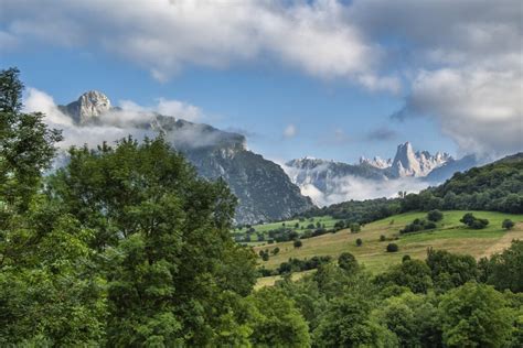 the effect of stand density biodiversity and spatial structure on