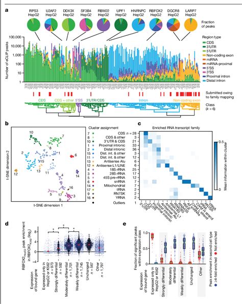 Figure From Map Of Human RNA Binding Proteins Semantic Scholar