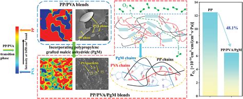 Improved Oxygen Barrier Properties Of Polypropylenepolyvinyl Alcohol Blends Through Reactive