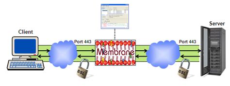 SSL TLS Termination And Tunneling For Web Services