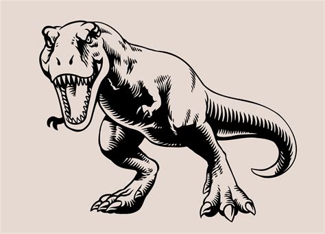 Roaring T Rex Illustration In Black And White 29091962 Vector Art At