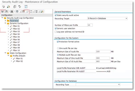 Sap Security Audit Log