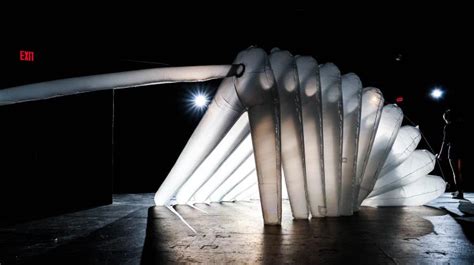 Undergraduate Programs Architecture