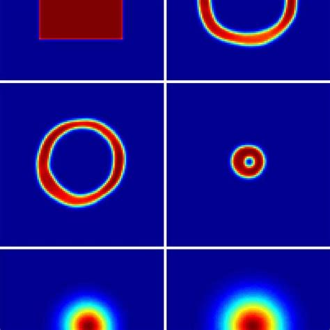 Color Online Typical Spatial Pattern Diagram Of The Prey Density In