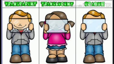 Science Class Sorting Materials Into Groups Transparent Translucent And Opaque Objects YouTube