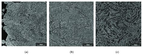 Microstructure Of The Material A For The Solid Part Of The Frame In
