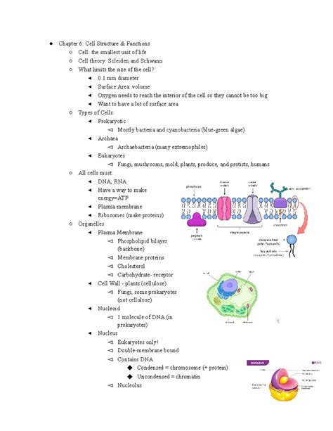BIOL Exam Exam Chapter Cell Structure Functions Cell The Smallest Unit Of