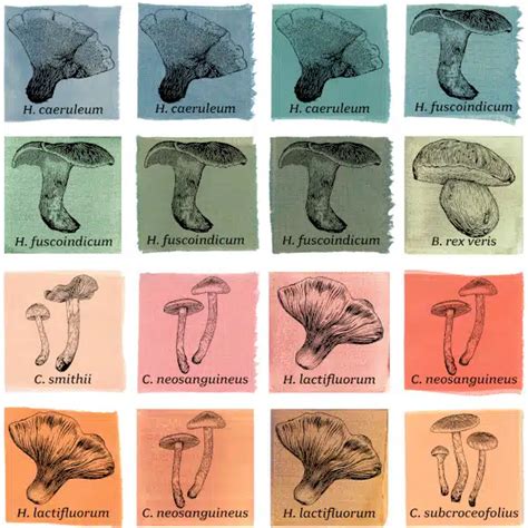 Ruby Falls Glass Elevator Will Take You 260 Feet Underground