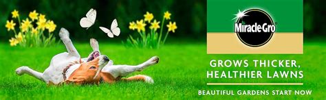 Miracle Gro Patch Magic Grass Seed Feed And Coir 36kg 48 Patches Uk Garden