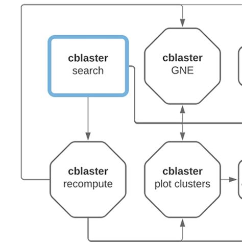 interoperability scheme of implemented functionality on cagecat blue
