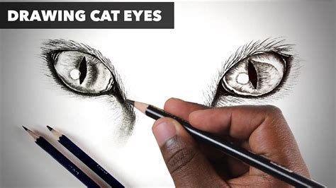 Realistic Cat Eye Drawing Realistic Cat Eye Drawing