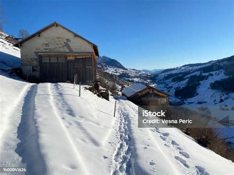 알프슈타인 산맥의 경사면과 스위스 알프스의 신선한 고산 눈 덮개에있는 멋진 겨울 하이킹 트레일과 흔적 Alt St Johann 스위스 0명에 대한 스톡 사진 및 기타 이미지