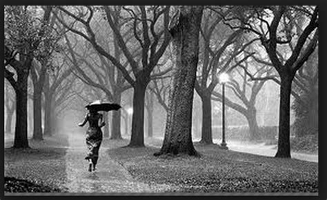 Poem: Rains – Literary Yard