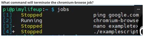 Solved What Command Will Terminate The Chromium Browse Job Chegg