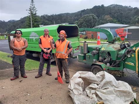 Tree Shapes Business For Sale The Valley Profile