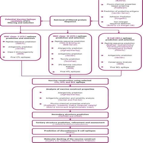 methodology for developing a multi epitope subunit vaccine construct