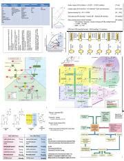 Biochem Cheat Sheet 1 3pdf Course Hero