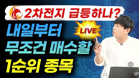 현대차 2차전지 급등하나에코프로posco홀딩스lg전자에코프로비엠lg화학포스코퓨처엠hmm일진홀딩스관심주주식실시간현대모비스cj Cgv불사조 Youtube