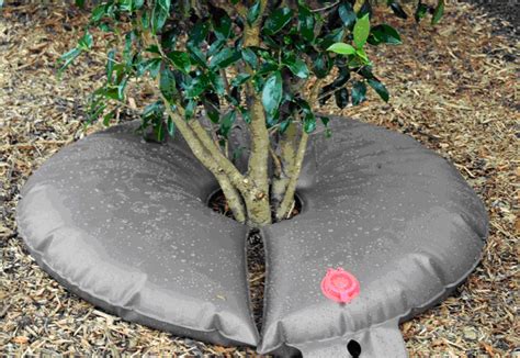 Tree Trunk Protector Buy Tree Wrap Tree Guard Tree Bark Protector Product On Alibaba Com