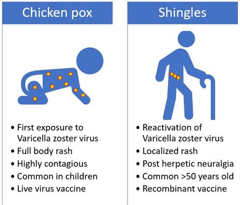 Characteristics Of Shingles And Chicken Pox Bioserendipity