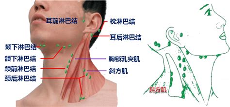 一般检查