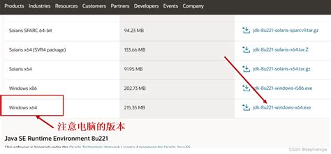 window10 jdk8安装与配置详细步骤 windows10安装jdk8 csdn博客