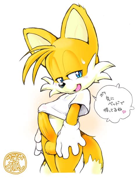 Post 3387370 Erosuke Sonicthehedgehogseries Tails