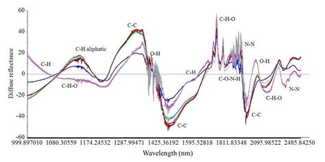 Soil Spectrum In Near Infrared Wavelength Region From 1000 To 2500 Nm