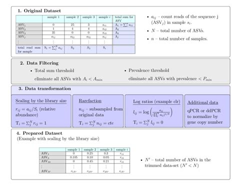 workflow for the preparation of a dataset which precedes the network