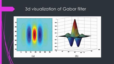 Dhwaj Java Solutions Gabor Filter Presntation Image Processing