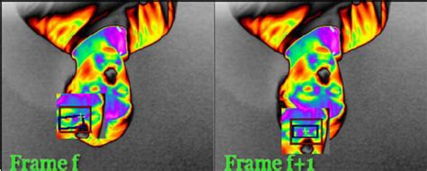 A Sample Of Two Consecutive Frames Of The Simulated Tracking