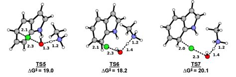 Dft Calculated Transition State Structures For The Acid Catalyzed