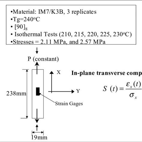 Uniaxial Tension And Compression Creep Download Scientific Diagram