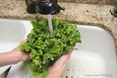 Wash And Dry Produce To Reduce Cyclospora Food Poisoning Risk