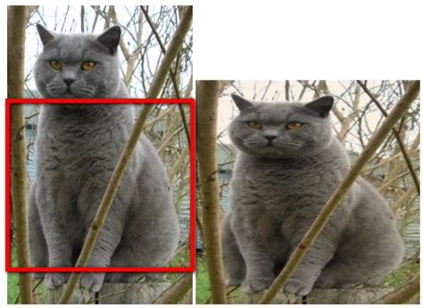 Lesson 2 In Class Discussion Page 14 Part 1 2018 Fastai Course Forums