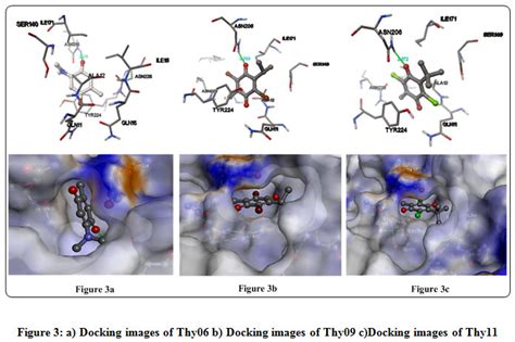 In Silico Docking Analysis And Admet Prediction Of Thymoquinone