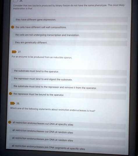 Solved Consider That Two Bacteria Produced By Binary Fission Do Not Have The Same Phenotype