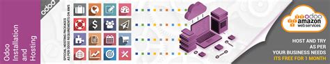 Odoo Erp Installation Services Odoo Erp Hosting Apagen