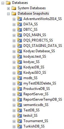 Create Database Snapshot For All Databases On SQL Server Sql Server Sql Server