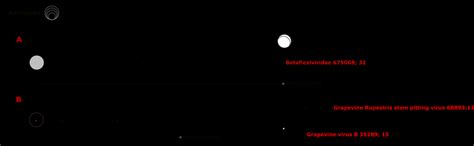 Assigning Of Viral Reads To Taxa Using Different Thresholds In The Download Scientific Diagram