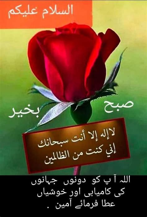 Pin By Javed Mir Akhtar On Subah Bakhair Good Morning Flowers  Good Morning Images Flowers