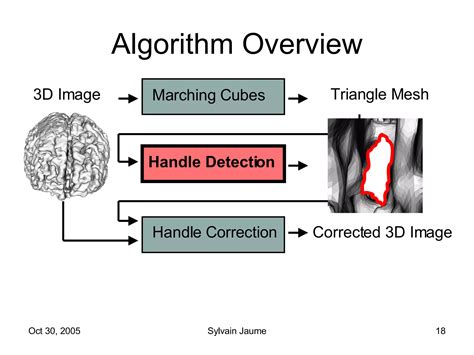 Open Topology A Toolkit For Brain Isosurface Correction 776 Ppt