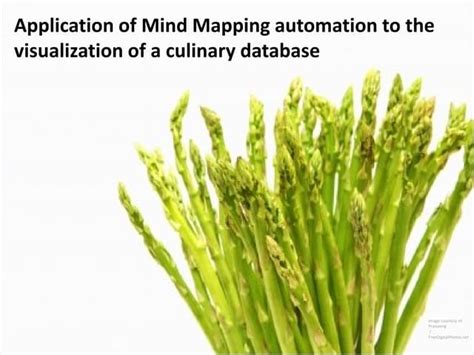 Mind Mapping Automation In The Visualization Of Recipes Of A Culinary