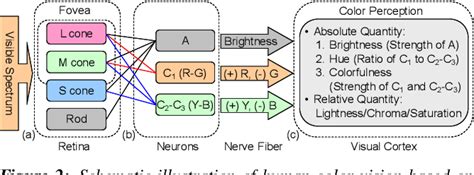 Figure From Modeling Human Color Perception Under Extended Luminance Levels Semantic Scholar