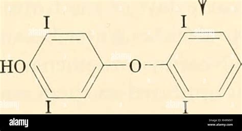 Thyroglobulin Structure
