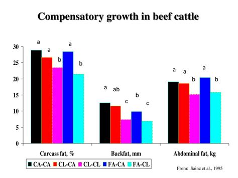 Ppt Stocker Programs Feedlot Performance And Carcass Merit Powerpoint Presentation Id5608608