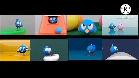 8 Parison Pingoo Bird Youtube